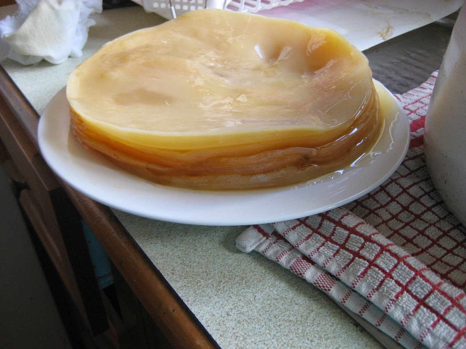 Life at Arbordale Farm: Kombucha